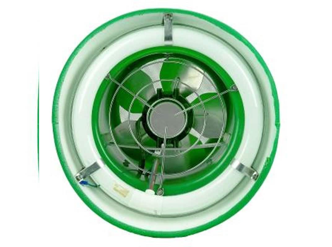 Bug Light Fish Feeder | Mid-Atlantic Stocking